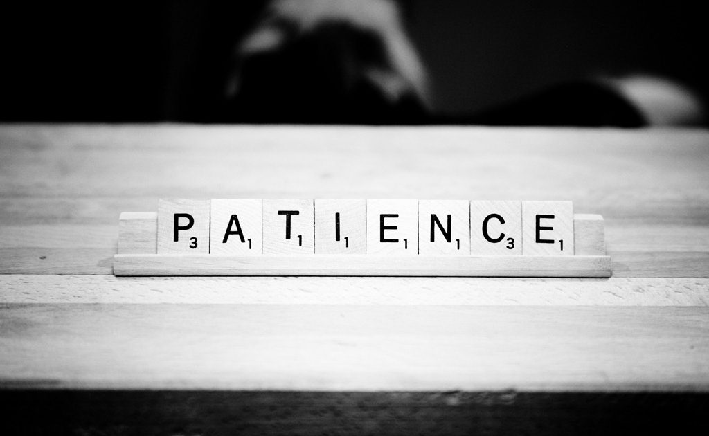 Daily Reading: Patience - Life Palette